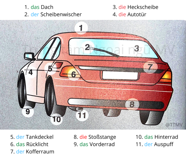 Wortschatz zum Thema: Auto - Trung tâm Ngoại ngữ MV