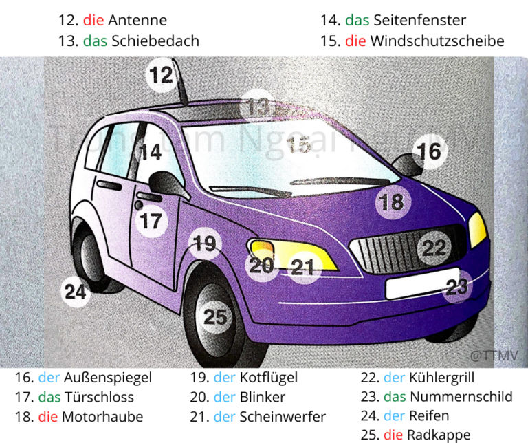 Wortschatz zum Thema: Auto - Trung tâm Ngoại ngữ MV