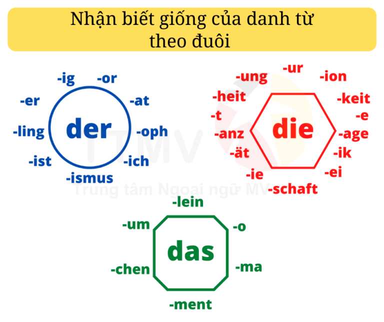 Cách nhận biết der, die, das siêu dễ nhớ - Trung tâm Ngoại ngữ MV